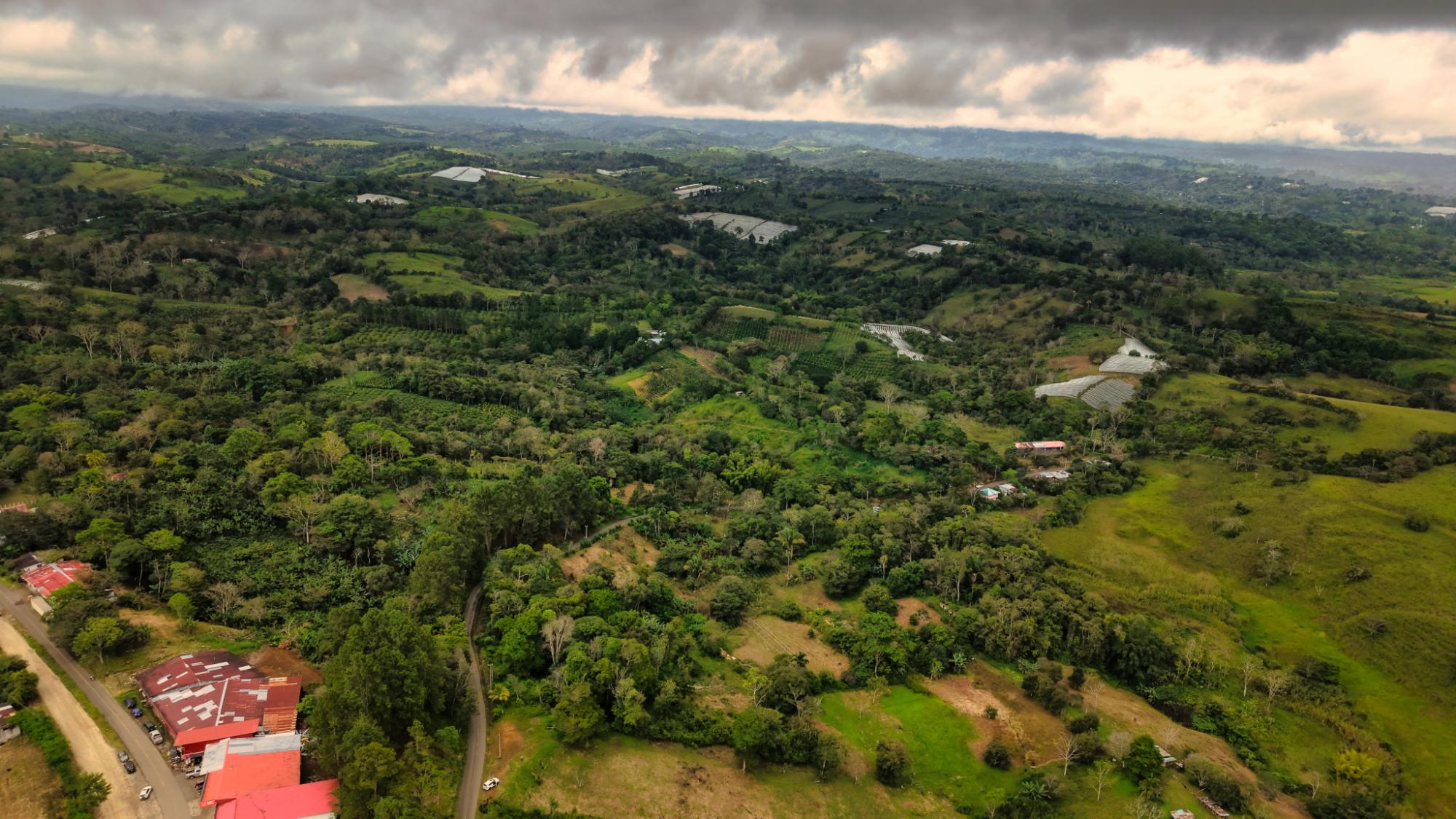 Sale of a 5-hectare lot on the border/Costa Rica - DGR Panama Real Estate