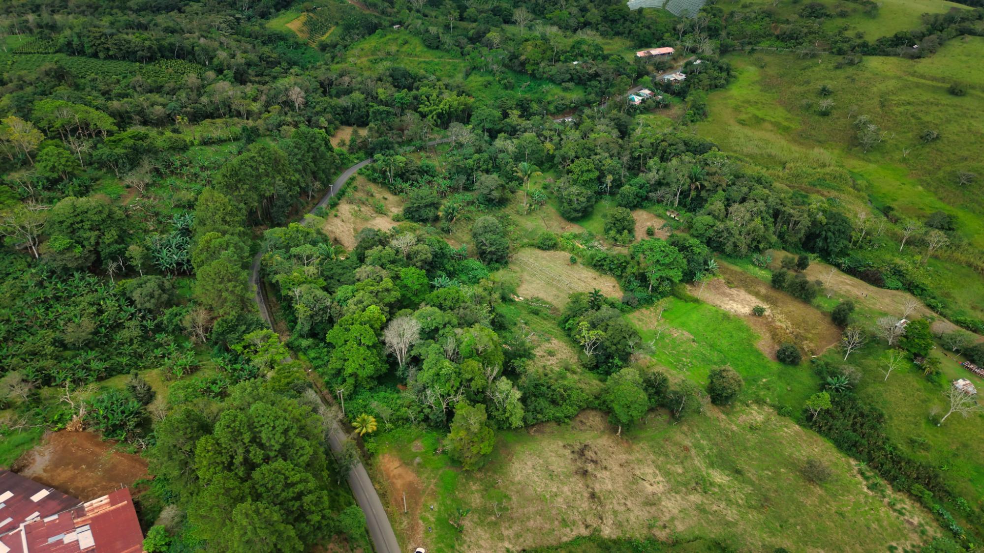 Sale of a 5-hectare lot on the border/Costa Rica - DGR Panama Real Estate