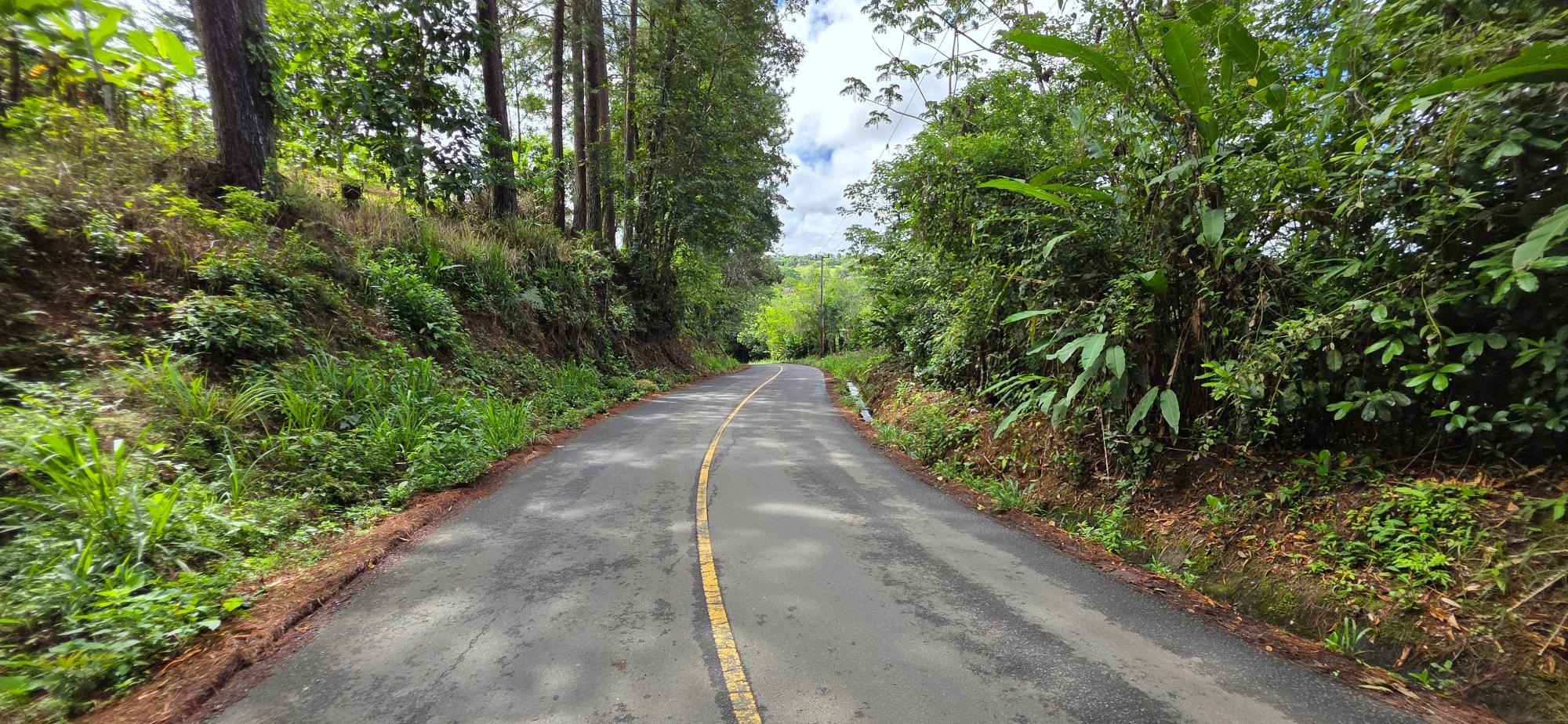 Sale of a 5-hectare lot on the border/Costa Rica - DGR Panama Real Estate